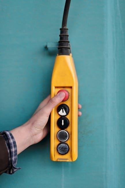 P365 XL Manual Safety Guide